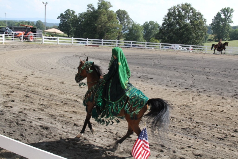 2017 Washington Co. Horse Show – Washington County Horse Show Classics